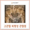 강남역정형외과 퇴행적 변화로 인한 고관절에 염증 증상 퇴행성 고관절 관절염 치료법은 네이버 블로그